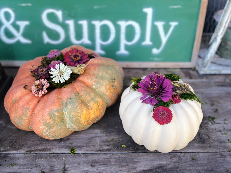 A Simple Guide to Decorating Pumpkins with Dried Flowers » Grow Beauty ...