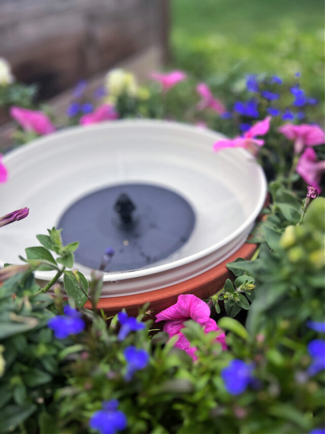 4 DIY Solar Fountain Ideas for the Garden » Grow Beauty With Ease