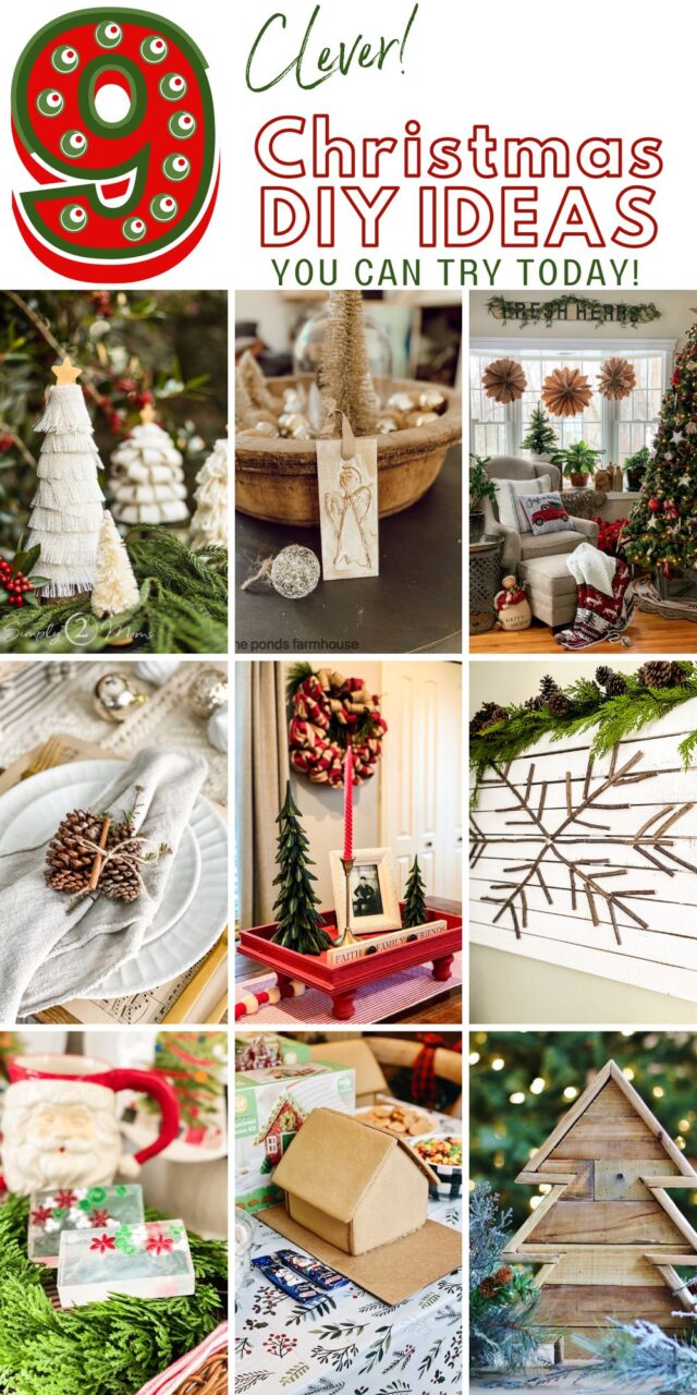 9 Festive and Fun DIY Christmas Projects » Grow Beauty With Ease