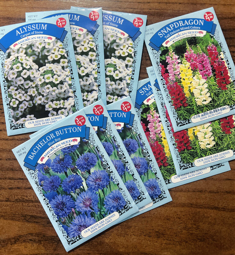 Winter Sowing Perennials: Cold-Hardy Flowers That Come Back Every Year ...