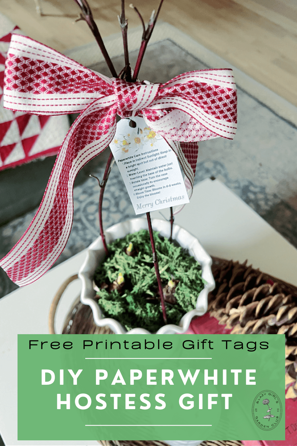 DIY Paperwhite Hostess Gift with Free Printable Tags » Grow Beauty With ...