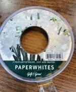 DIY Paperwhite Hostess Gift with Free Printable Tags » Grow Beauty With ...
