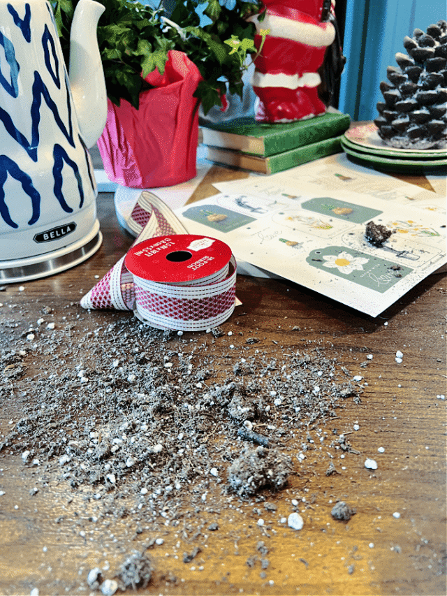 DIY Paperwhite Hostess Gift with Free Printable Tags » Grow Beauty With ...