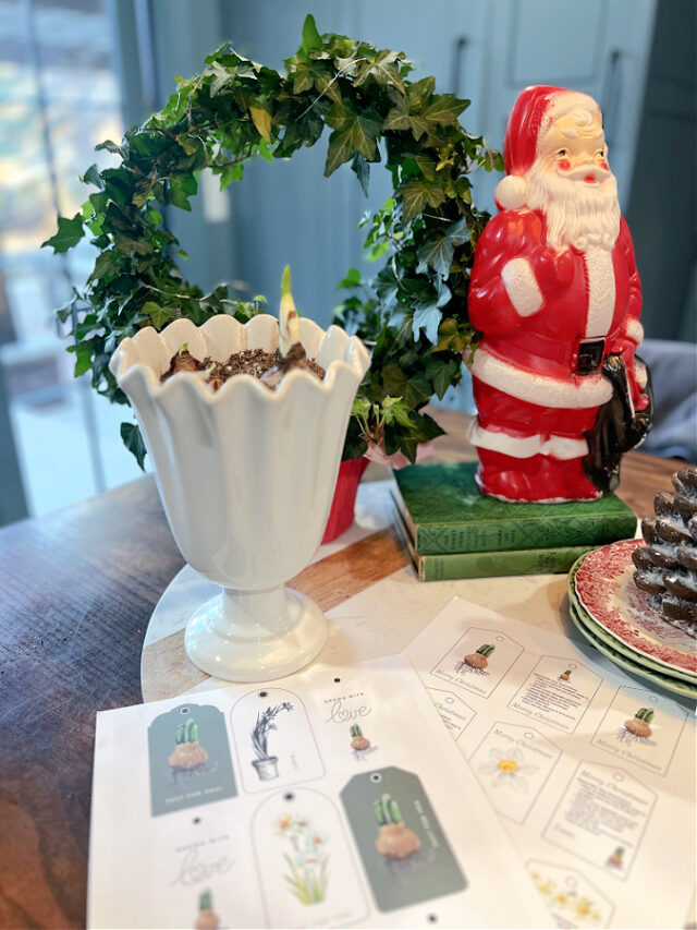 DIY Paperwhite Hostess Gift with Free Printable Tags » Grow Beauty With ...