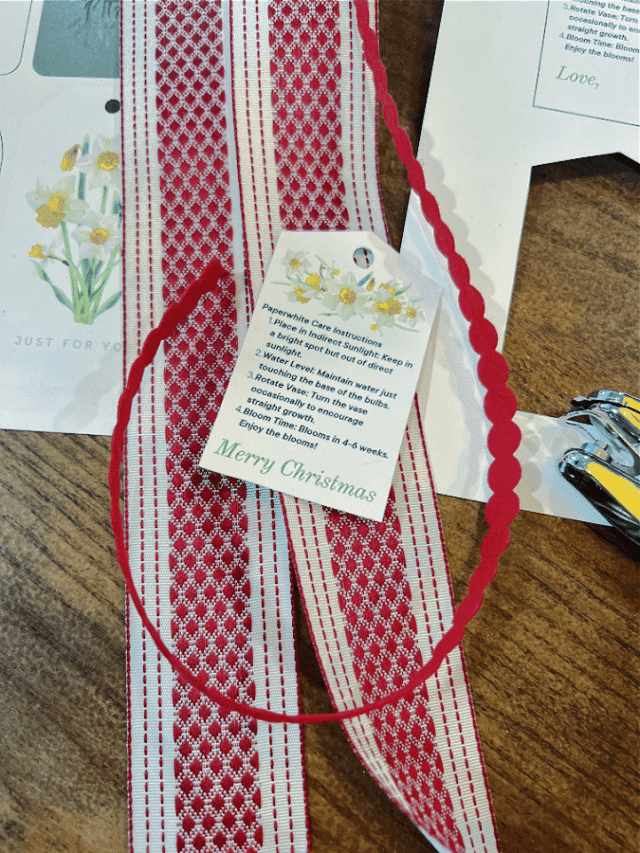 DIY Paperwhite Hostess Gift with Free Printable Tags » Grow Beauty With ...