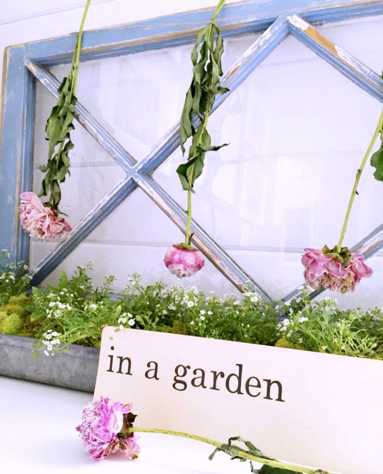 Tips and Tricks for the Best Peonies » Grow Beauty With Ease