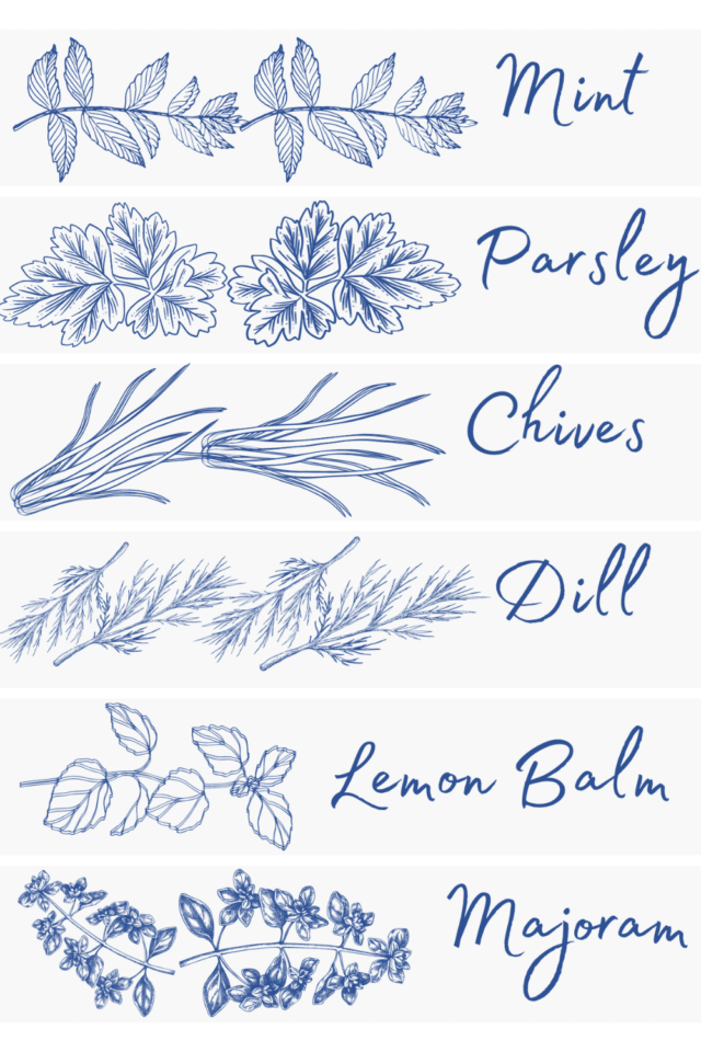 Free Printable Garden Markers For Flowers and Herbs » Grow Beauty With Ease