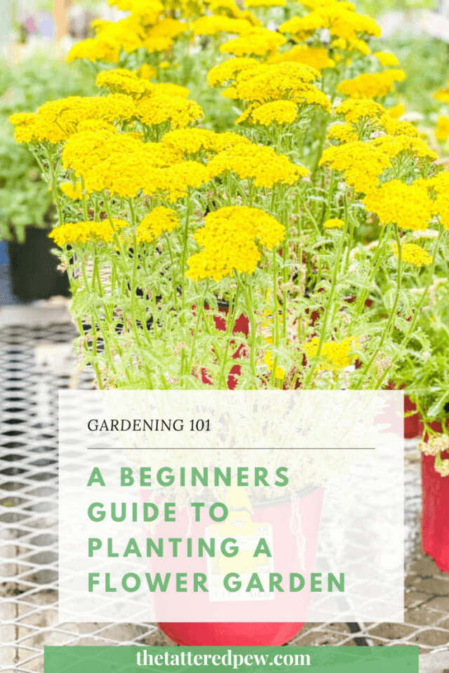 A Beginners Guide to Planting A Flower Garden » Grow Beauty With Ease