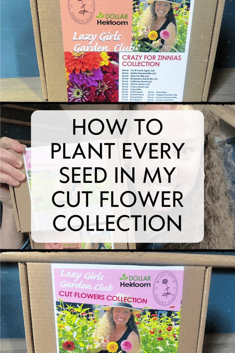 How to Plant Every Seed in My Cut Flower Collection » Grow Beauty With Ease