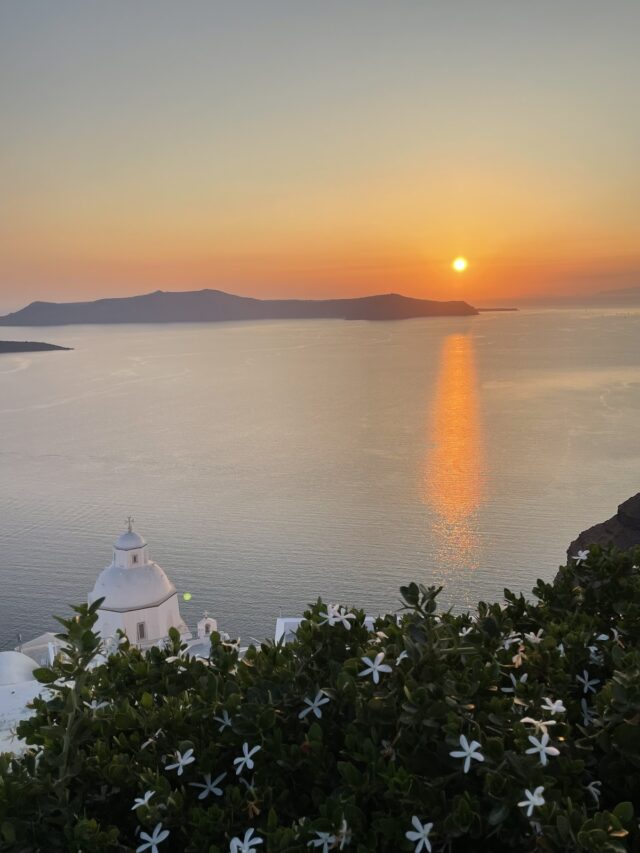 Tuesdays With Tracy: June Joy » Grow Beauty With Ease