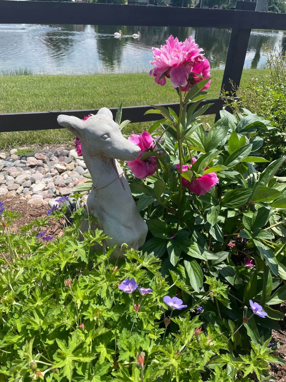 Tuesdays With Tracy: June Joy » Grow Beauty With Ease