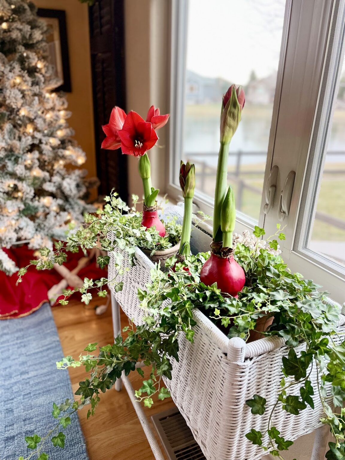 Tuesdays With Tracy: Fall Home Tour » Grow Beauty With Ease