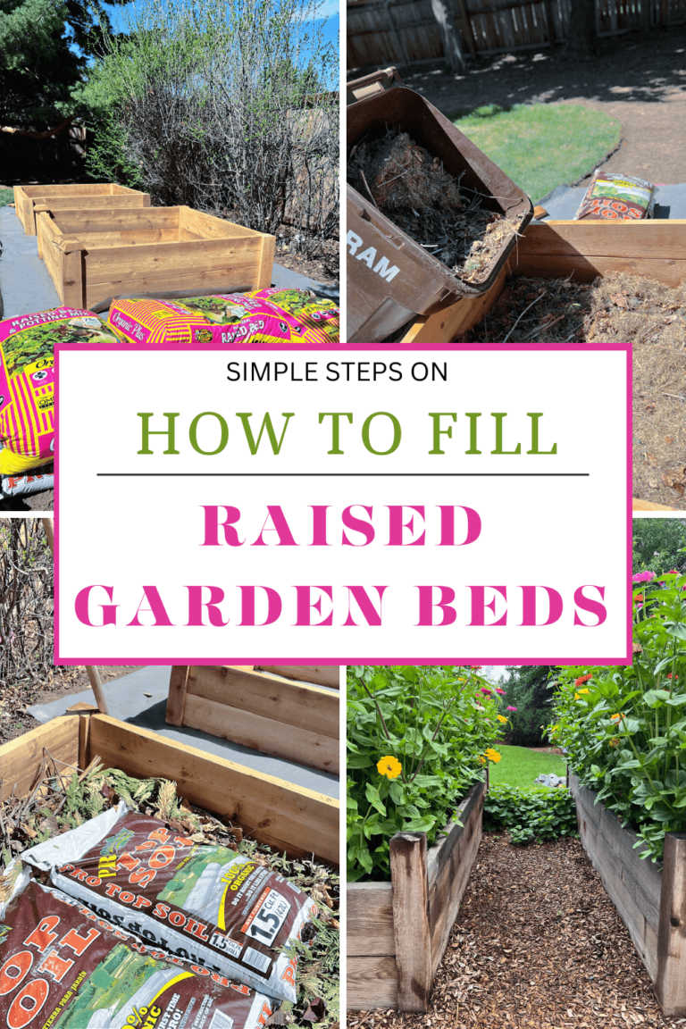 What Should I Fill My Raised Garden Bed With? » Grow Beauty With Ease
