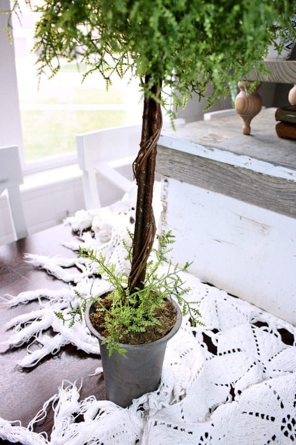 Decorating with Topiaries » Grow Beauty With Ease