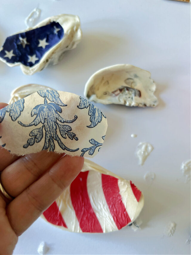 How to Mod Podge Sea Shells for Decor » Grow Beauty With Ease