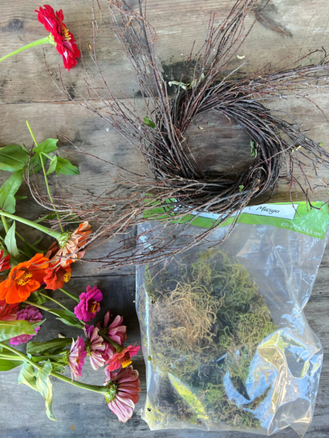 How to Make A Dried Zinnia Wreath » Grow Beauty With Ease
