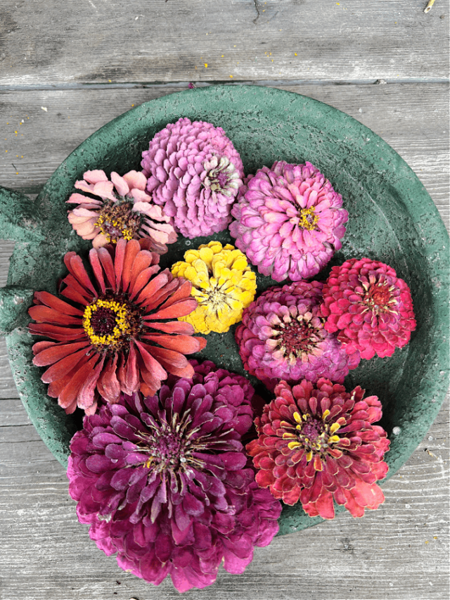 Easy Homemade Flower Food Recipe for Longer-Lasting Bouquets » Grow ...