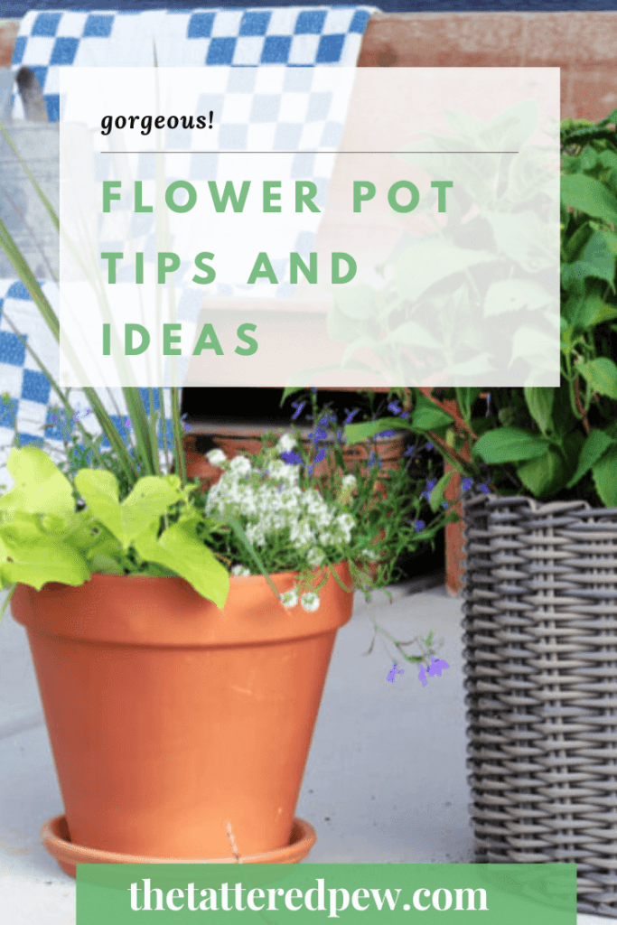 Gorgeous Flower Pot Tips and Ideas » Grow Beauty With Ease