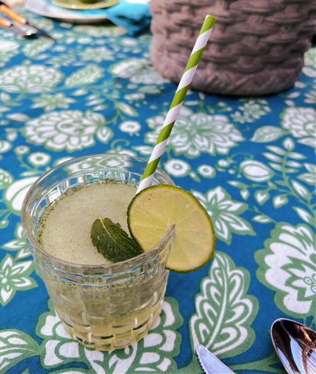 Easy Frozen Mojito Recipe » Grow Beauty With Ease