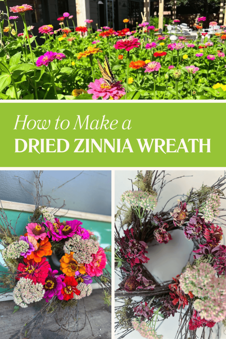How to Make A Dried Zinnia Wreath » Grow Beauty With Ease