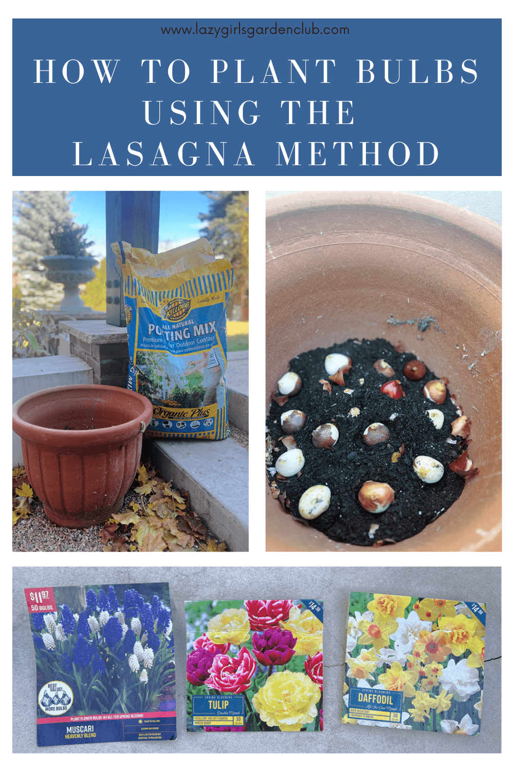 How to Plant Pots Using the Bulb Lasagna Method » Grow Beauty With Ease