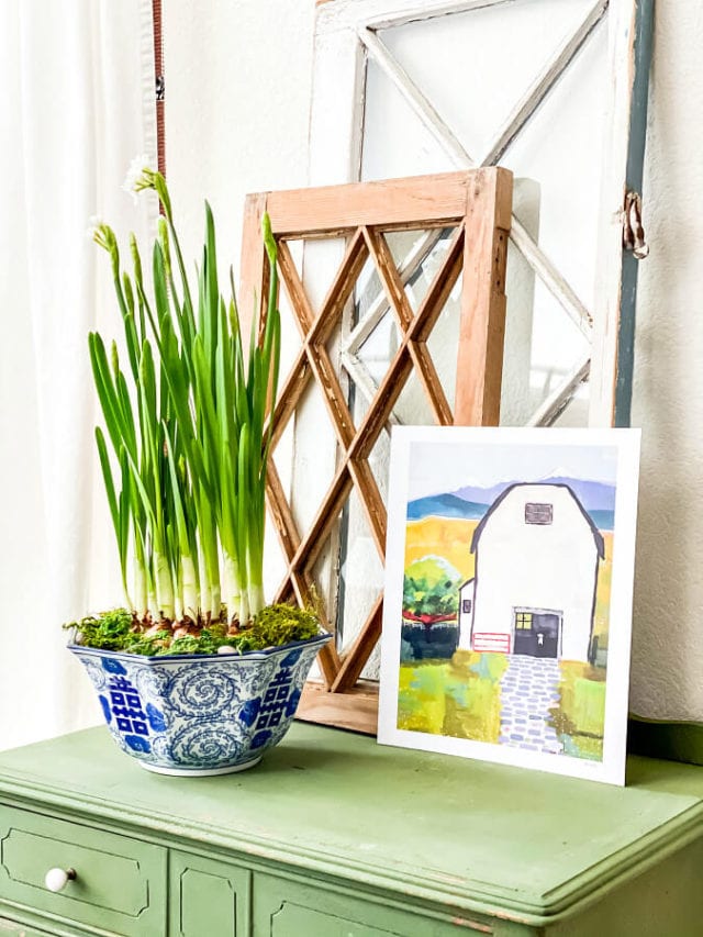 How To Grow Paperwhites Indoors and Use them In Your Winter Decor ...