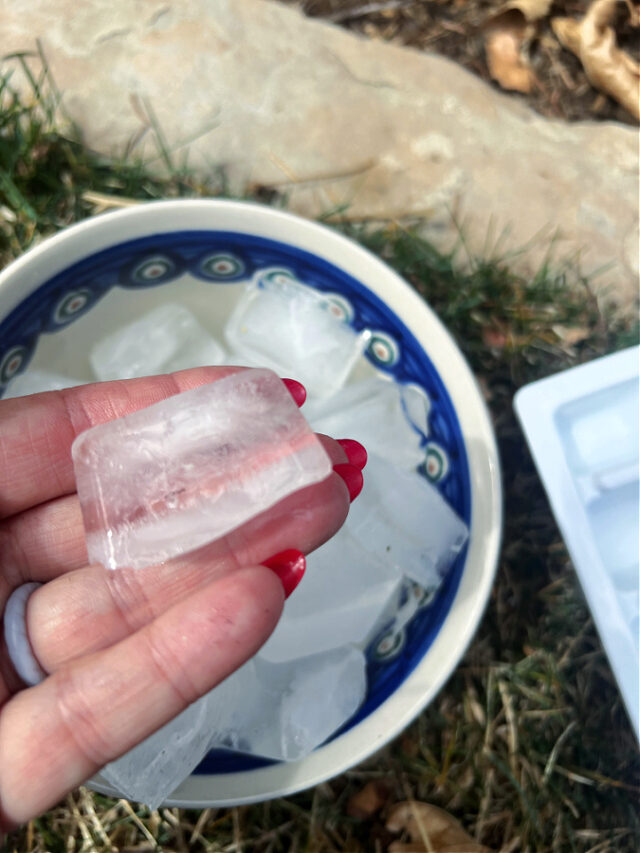 How to Grow Poppies Using the Ice Cube Method » Grow Beauty With Ease