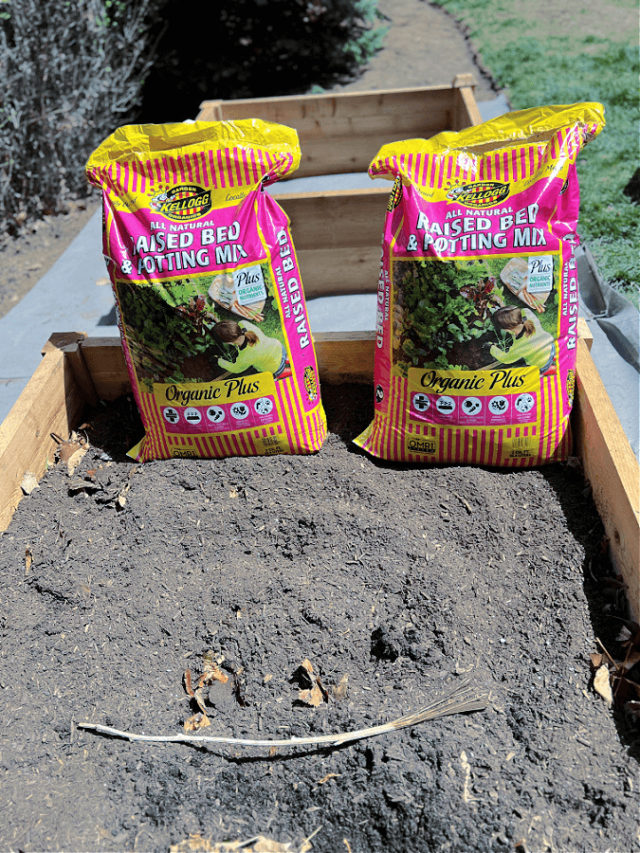 What Should I Fill My Raised Garden Bed With? » Grow Beauty With Ease