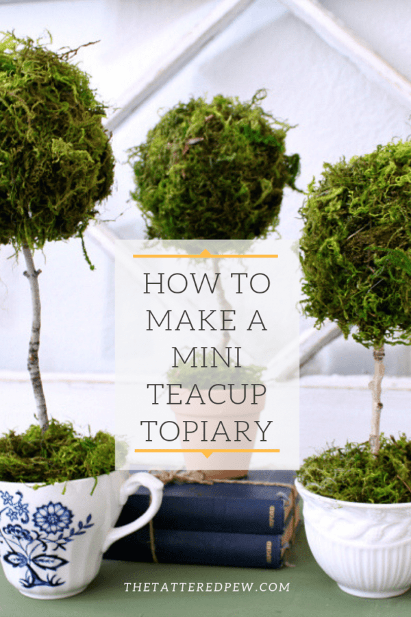 How To Make a Mini Teacup Topiary » Grow Beauty With Ease