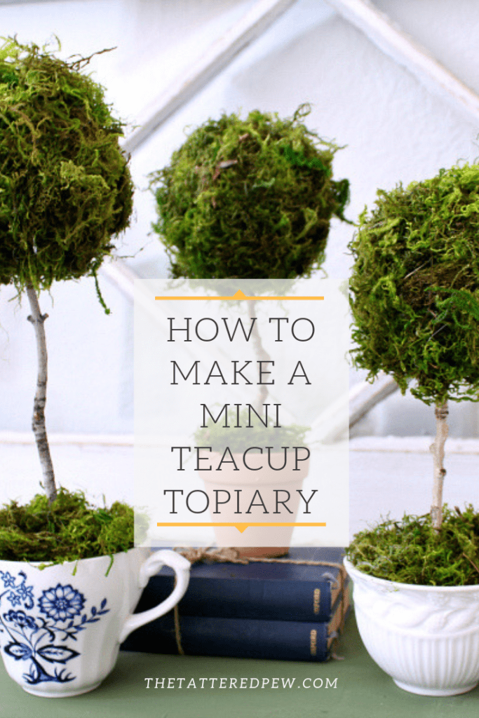 How To Make a Mini Teacup Topiary » Grow Beauty With Ease
