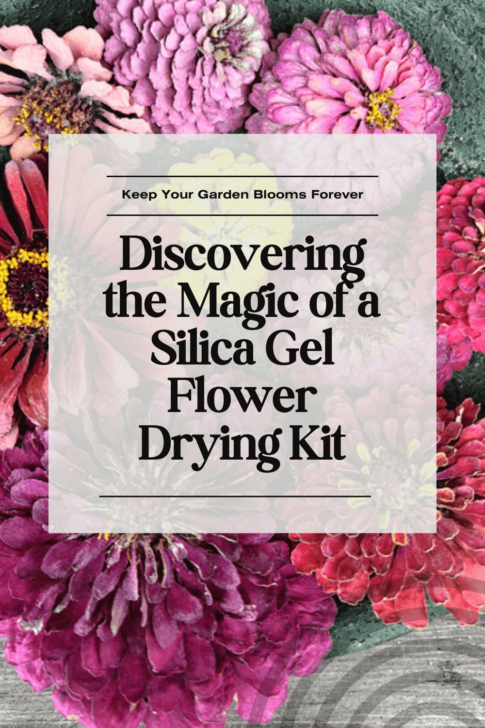 Keep Your Garden Blooms Forever: Discovering the Magic of a Silica Gel ...