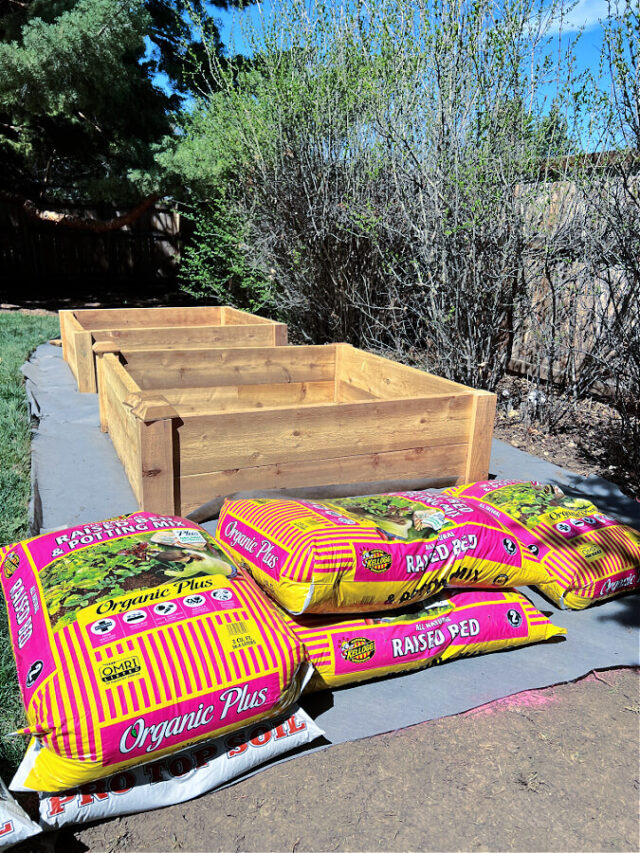 What Should I Fill My Raised Garden Bed With? » Grow Beauty With Ease