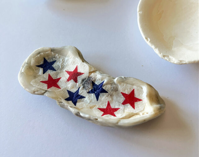 How to Mod Podge Sea Shells for Decor » Grow Beauty With Ease