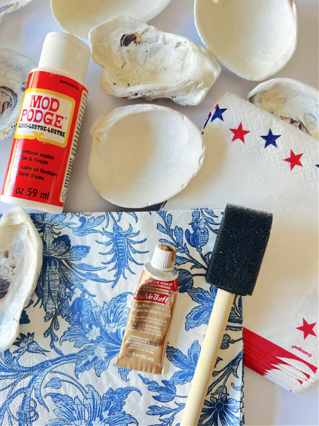 How to Mod Podge Sea Shells for Decor » Grow Beauty With Ease