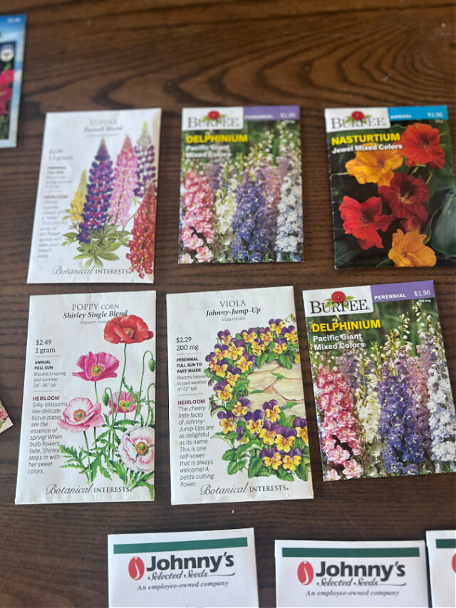 Winter Sowing Flowers - A Guide for Beginners » Grow Beauty With Ease
