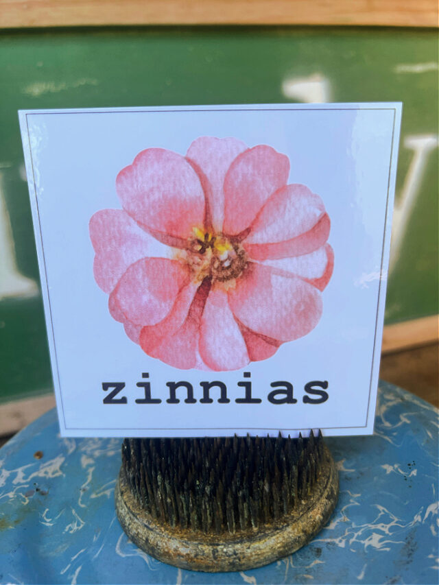 Free Printable Garden Markers For Flowers and Herbs » Grow Beauty With Ease